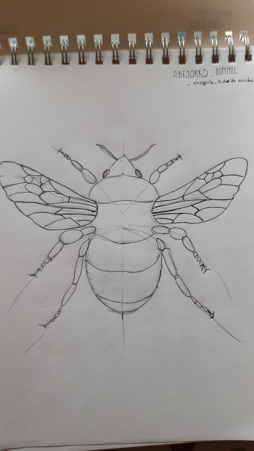Abejorro en primavera, mi Proyecto del curso: Dibujo y composición ...